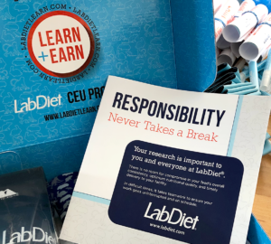 Our Work - YellowDog Productions